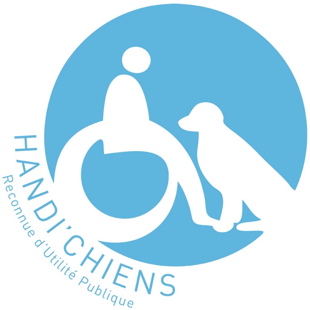 Les associations de chiens d'aide à la personne ...