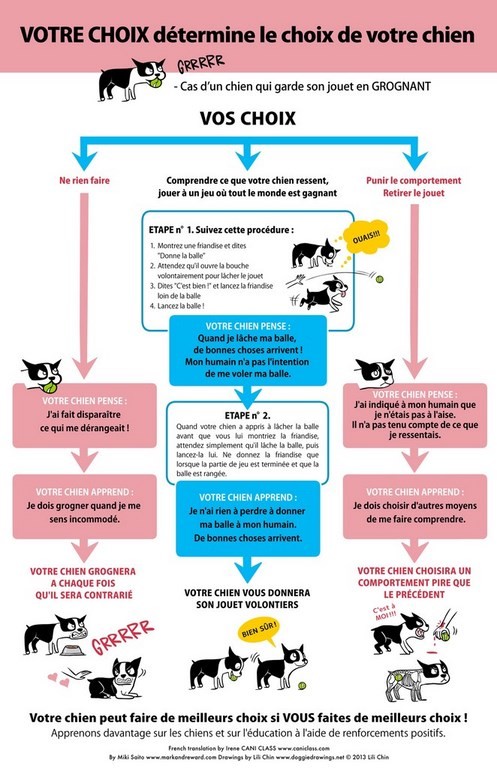 l'éducation du maître
