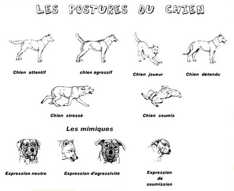 l'éducation du maître