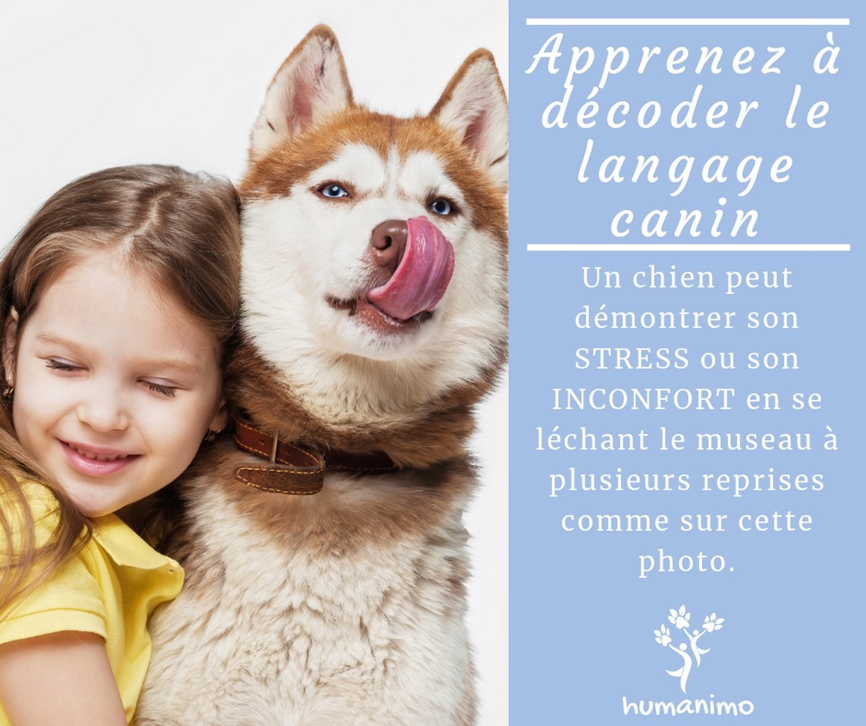 Affiche 'Humanimo': apprenez à décoder le langage canin
